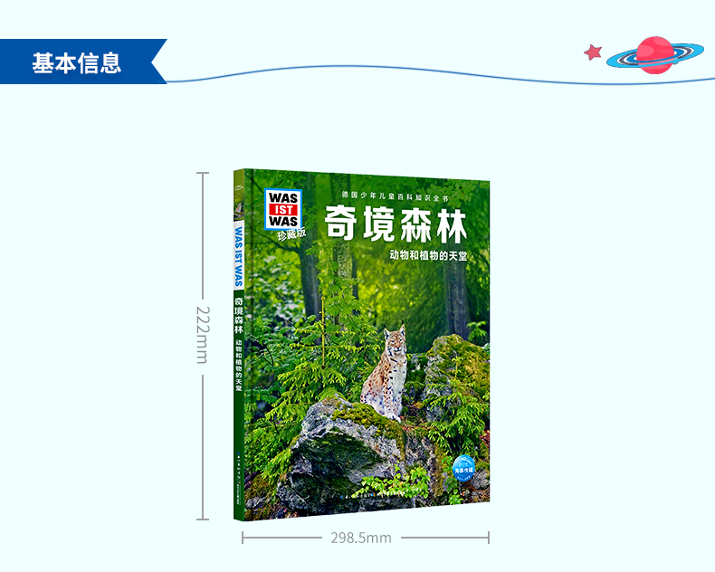 森林百科知识关于森林的科普知识关于森林的简单介绍第2页大山谷图库