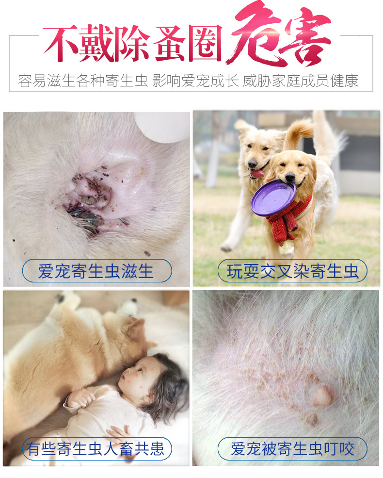 《2个猫咪 跳蚤圈狗狗驱虫猫咪狗除跳蚤项圈猫圈狗圈颈圈除蚤去防虱子猫用品》无著【摘要 书评 在线阅读】-苏宁易购图书