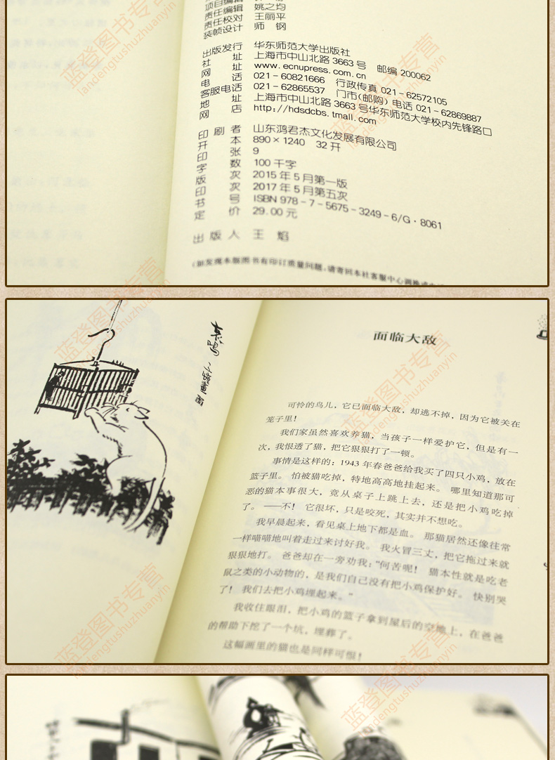 爸爸的画沙坪小屋简介,画爸爸的简笔画简单_大山谷图库